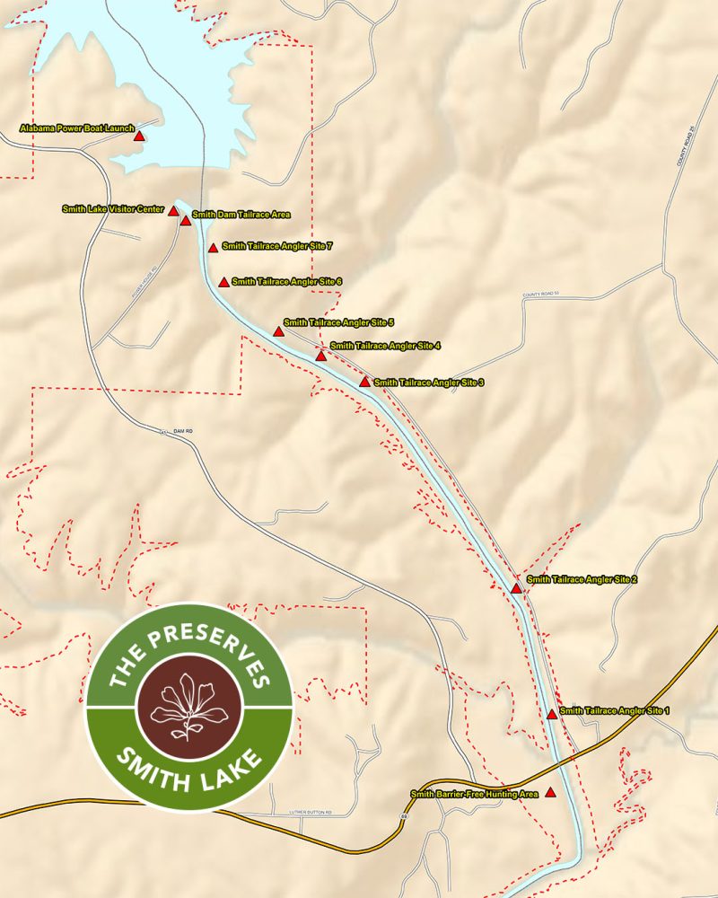 The Preserves | Smith Lake | Alabama Power Shorelines